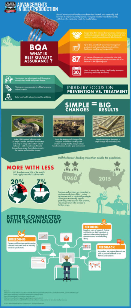 Infographics - National Beef Black Angus Beef