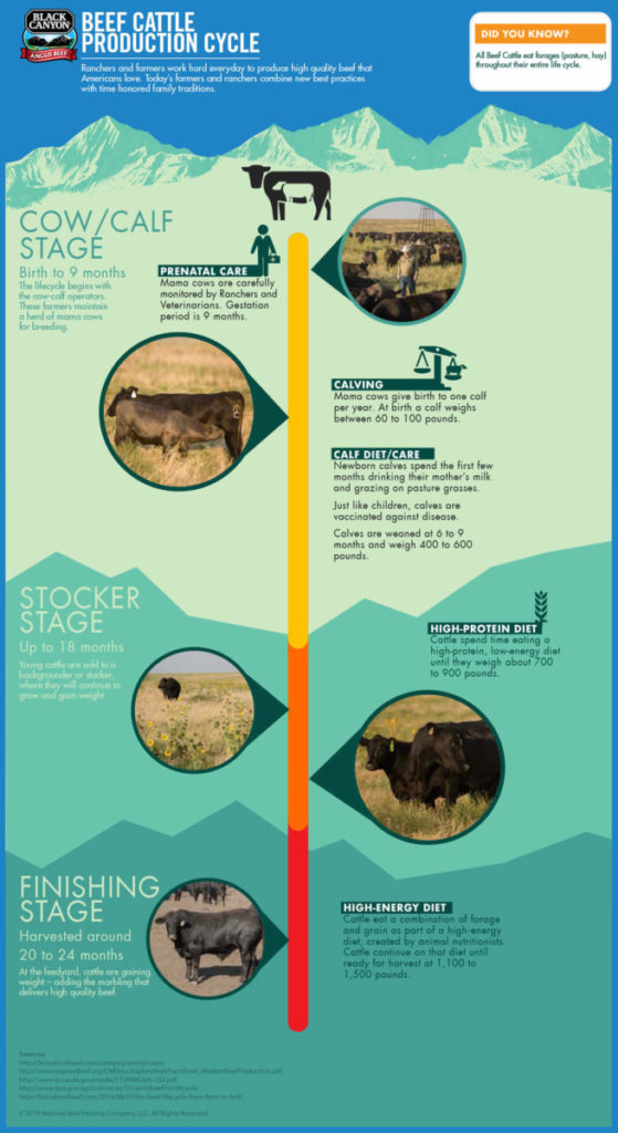 Infographics - National Beef Black Angus Beef
